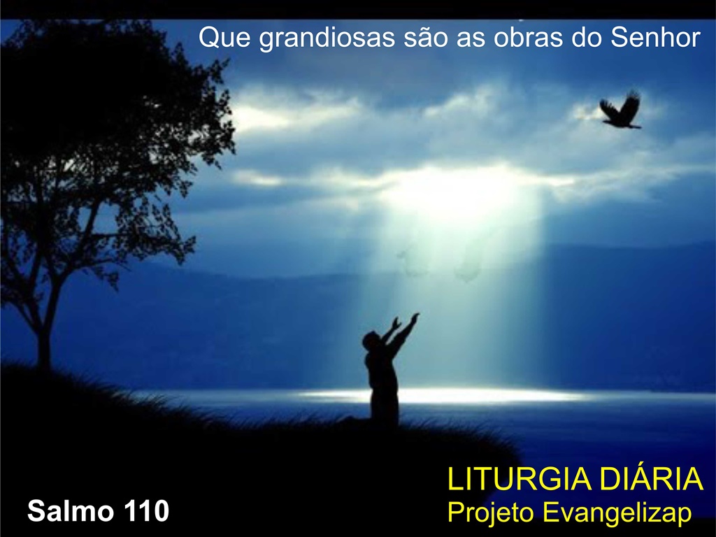 28 05 Salmo 110 - AAPI